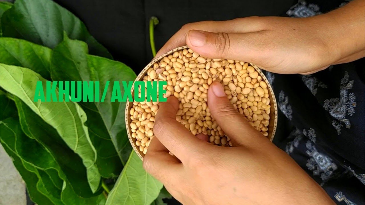 akhuni recipe|axoni|how to ferment soybean - YouTube
