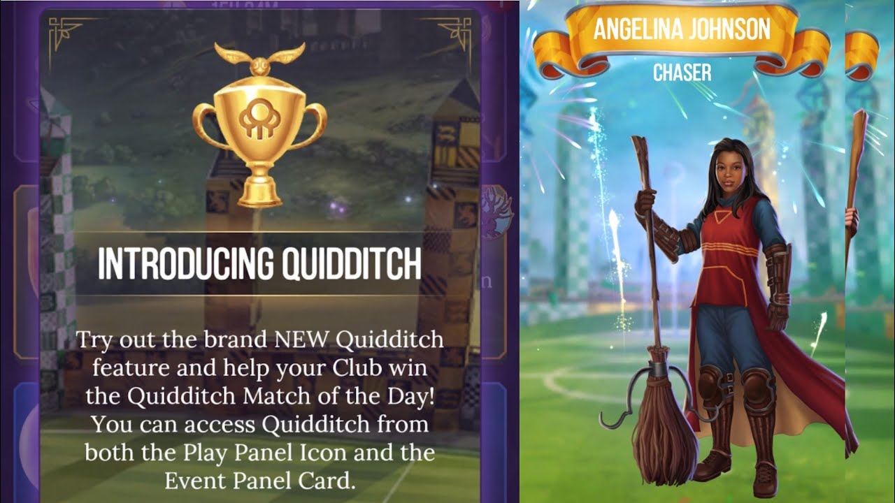 Quidditch Chaser
