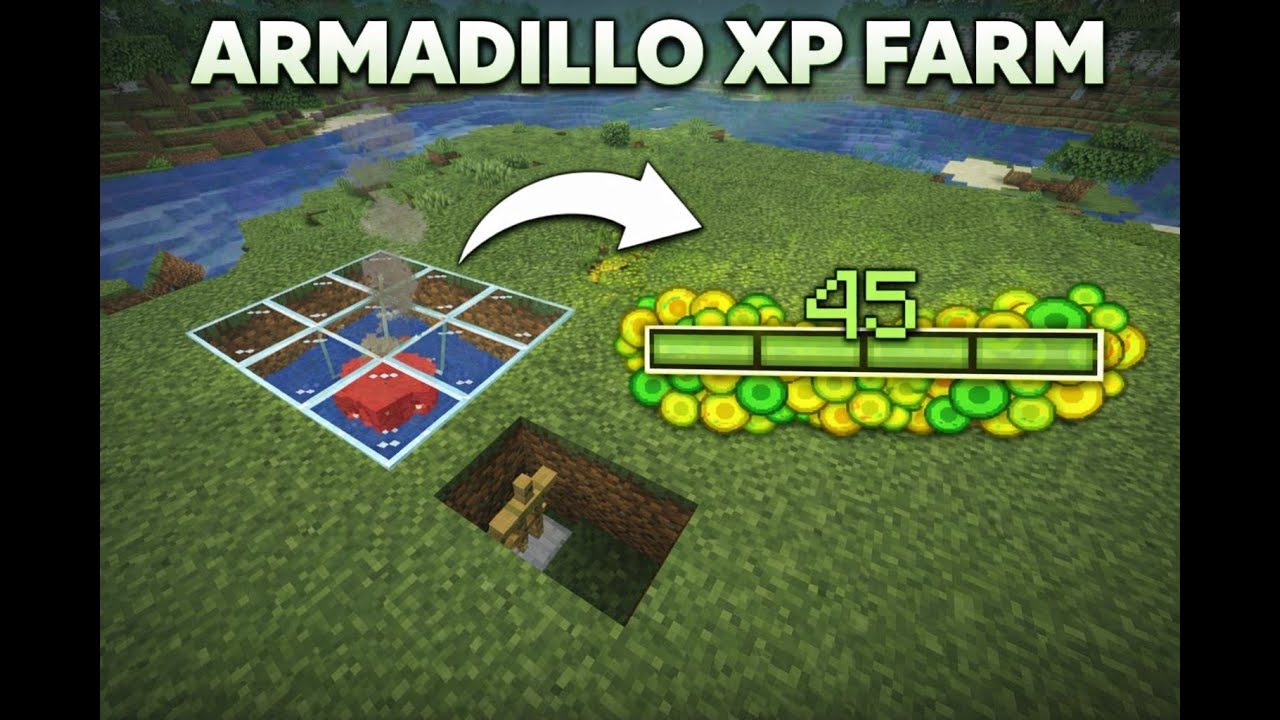The best armadillo XP farm in Minecraft ( 1.21+ tutorial) - YouTube