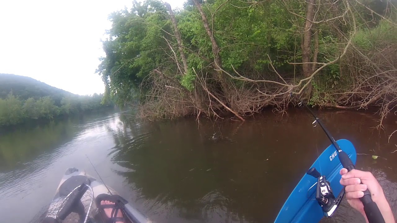 Fishing the New River: I-81 Bridge below Claytor Dam - YouTube