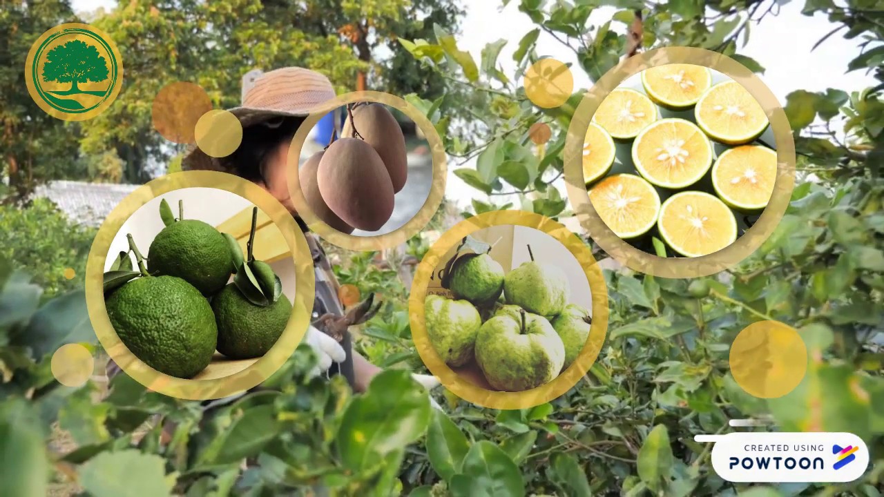 Fresh Mekong a Start Up - YouTube