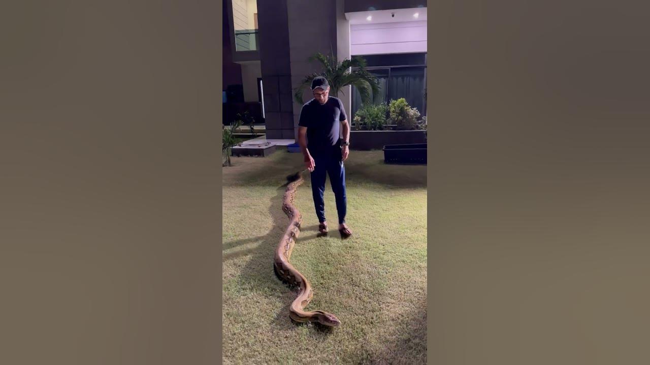 shahid afridi with python - YouTube