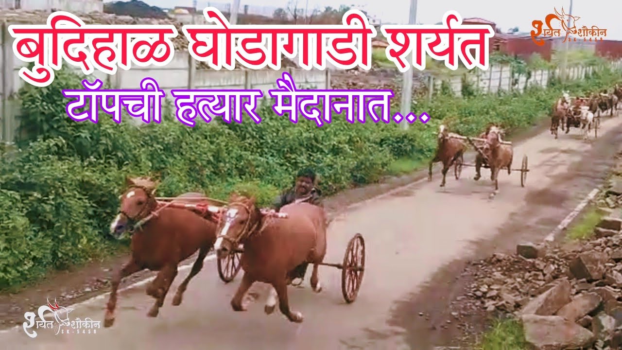 💥बुदिहाळ घोडागाडी मैदान💥कसा हायं वेग... budhihal ghodagadi maidan # ...