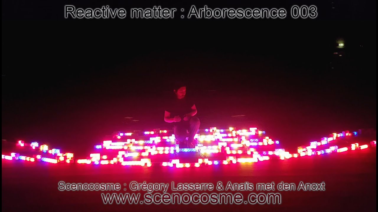 Reactive matter Arborescence - Scenocosme : Gregory Lasserre & Anais met den Ancxt - YouTube