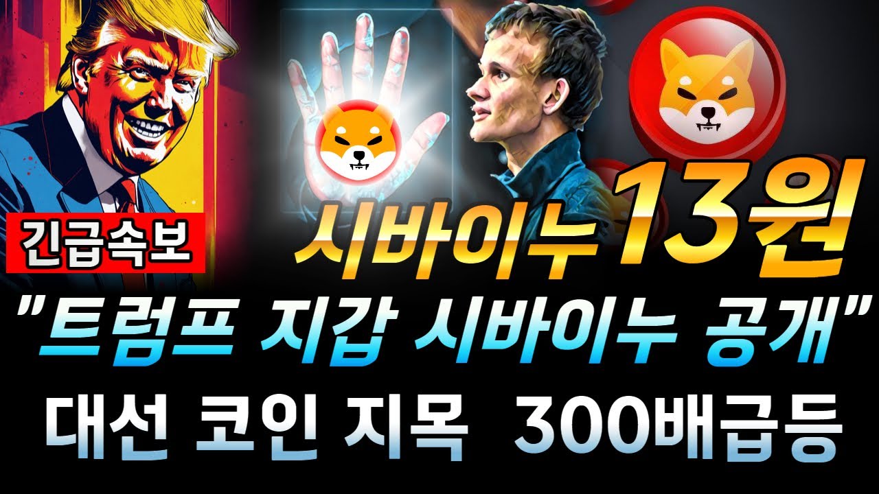 시바이누 코인 시바이누코인 대선코인지목 급등임박 추가상승 호재 공개 시바이누호재 시바이누전망 비트코인