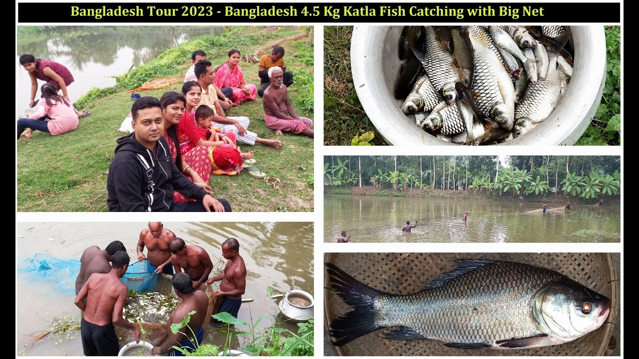 শ্বশুর বাড়ির ভেরিতে ৪.৫ কেজির কাতলা | 4.5 Kg Katla Fish Catching | Big ...