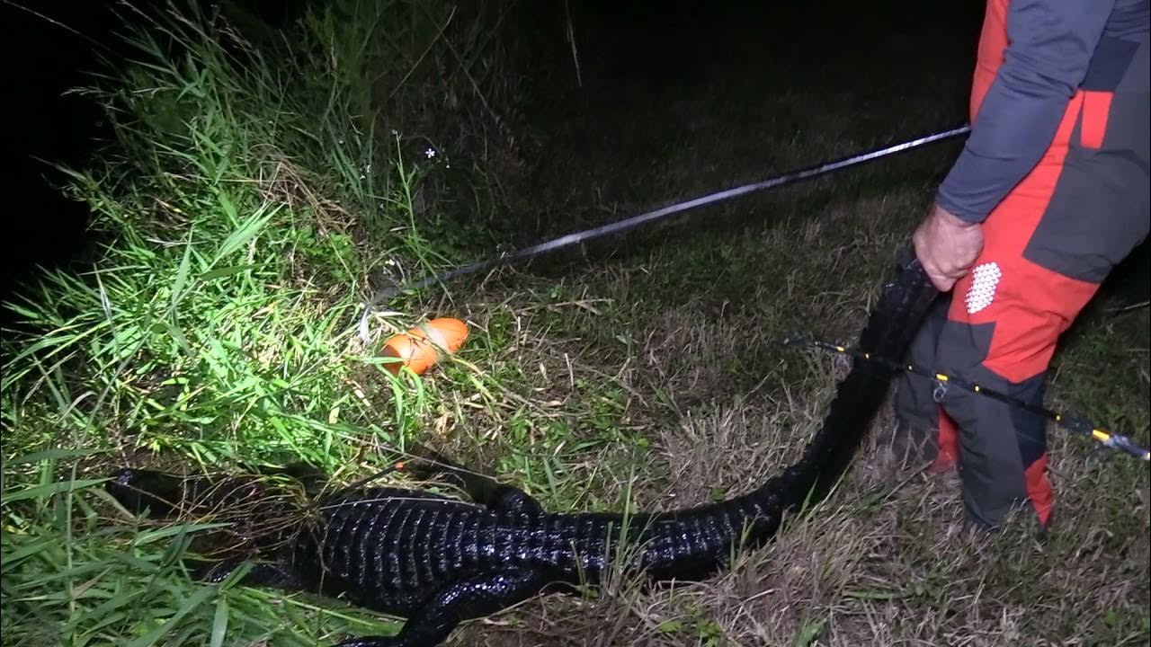 Samuels alligator hunt with Central Florida Trophy Hunts - YouTube