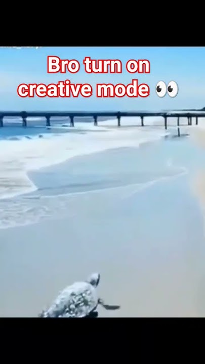 Bro Turn On Creative Mode Memes Funny Viral Turtule Youtube