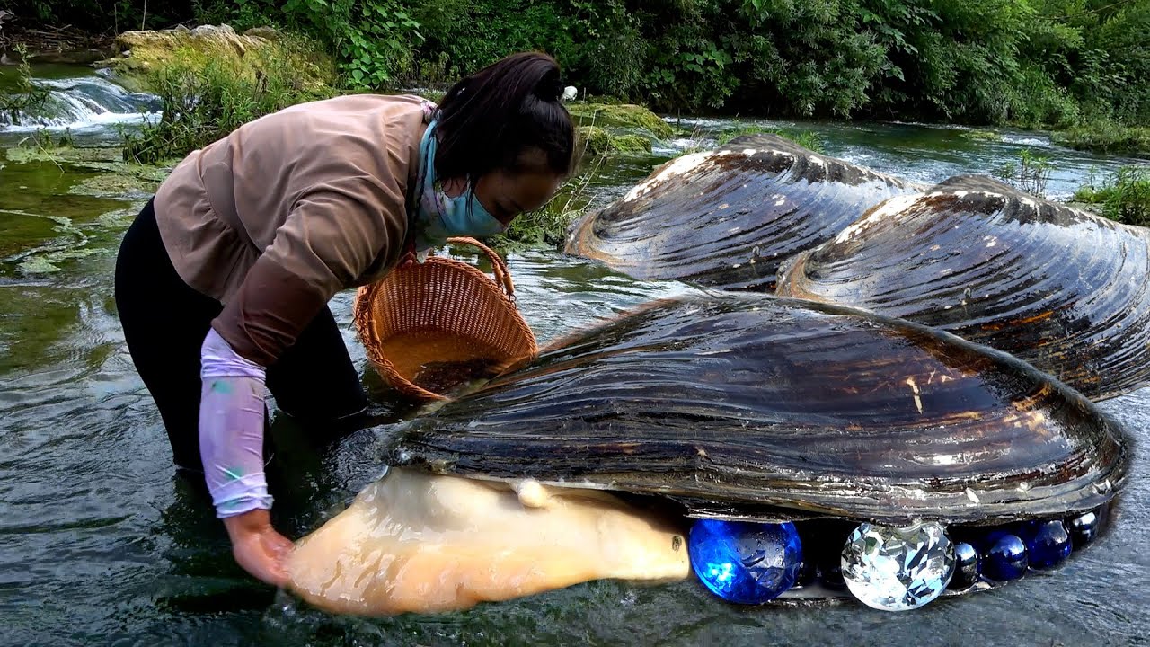 😱😱The giant clam hiding under the moss, nurturing countless charming ...