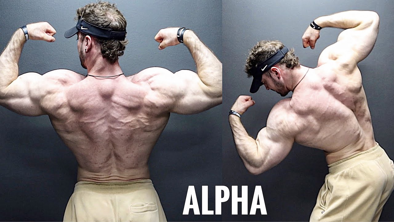 ALPHA BACK WORKOUT - YouTube