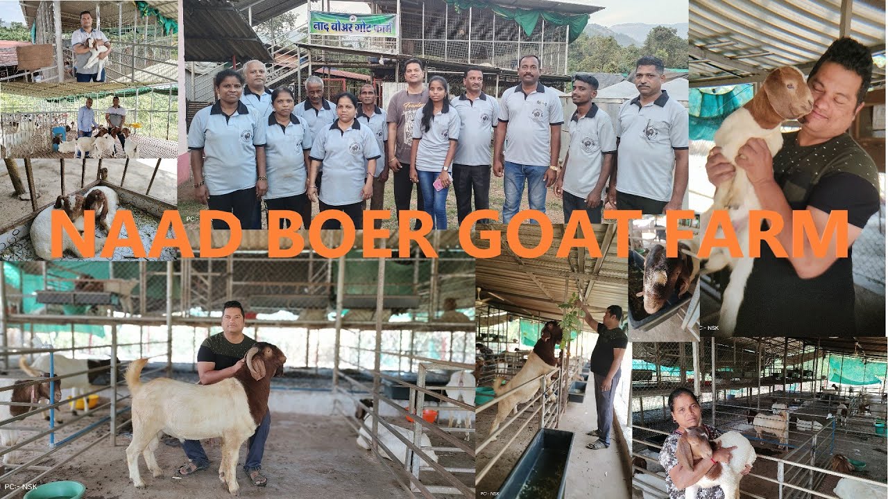 0044 | The Secrets to Successful Goat Farming: Advanced Techniques ...