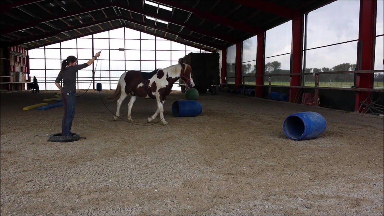 Parelli online pattern figure 8 at the trot while standing still - YouTube