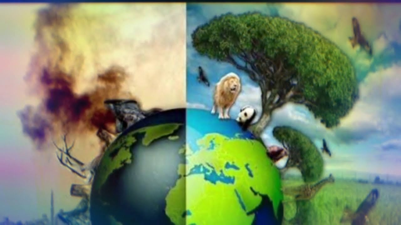 Facts about the ongoing global crisis - YouTube