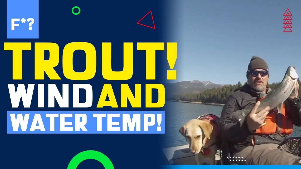 Water Temperature For Rainbow Trout Trolling YouTube Water Temperature For Rainbow Trout Trolling YouTube