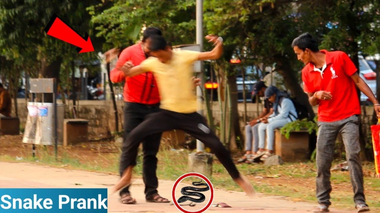 snake prank | snake with purse prank | prank in india | joking prankster| - YouTube