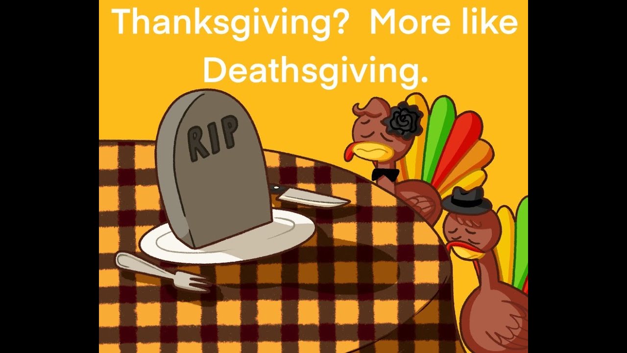 Save The Turkeys - YouTube