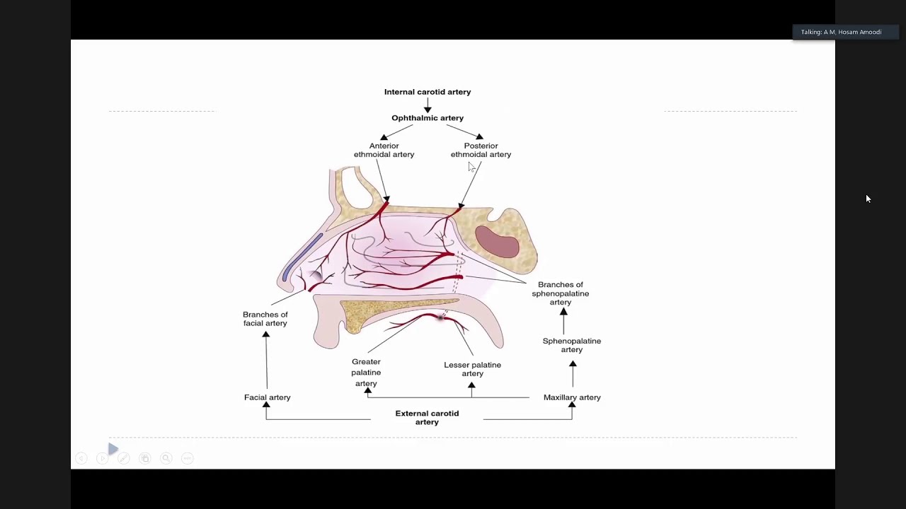Recurrent Epistaxis-case study - YouTube