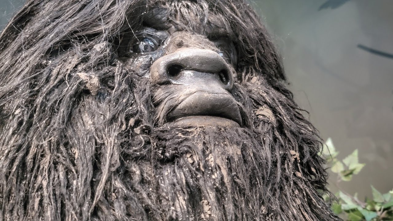 Harrison Hot Springs Bigfoot Museum - YouTube