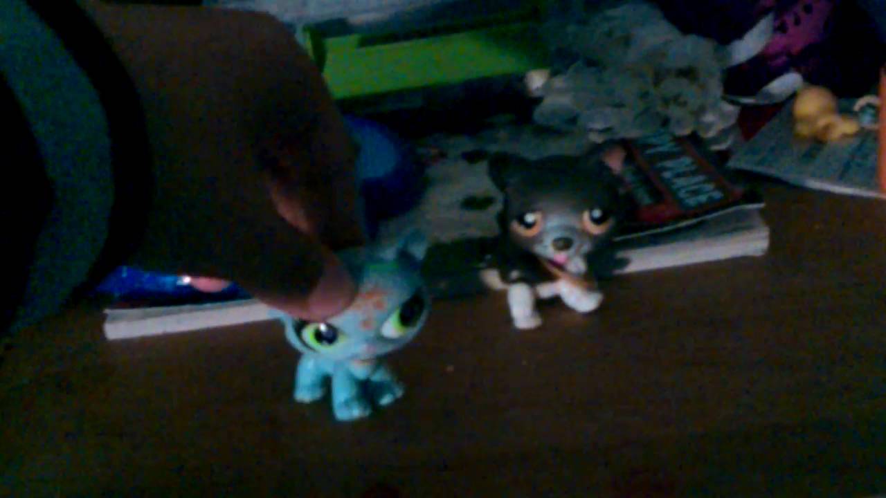 Introducing my new lps film!! - YouTube