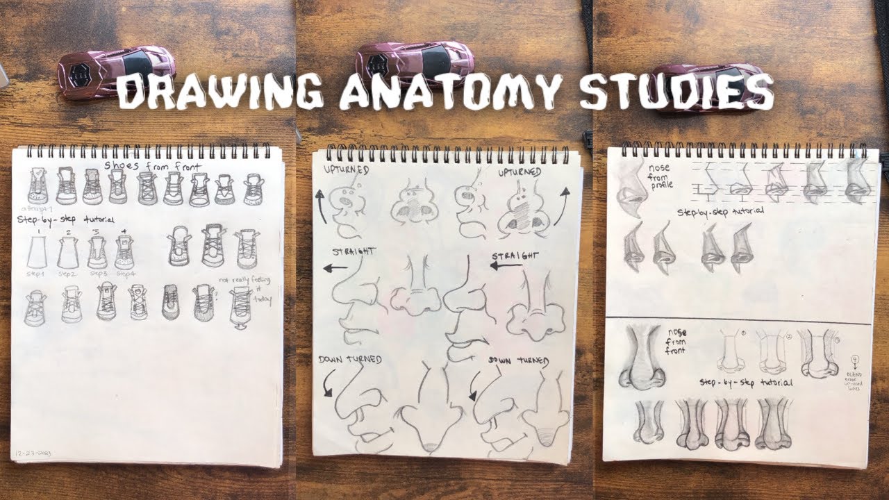 Drawing Anatomy Studies & Exercises | Biankeye Designs - YouTube