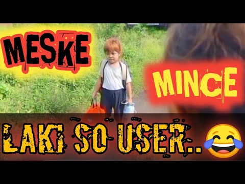 Meske Vs Mince😂 Bagaikan B*b* Utang🤣🤣 - YouTube
