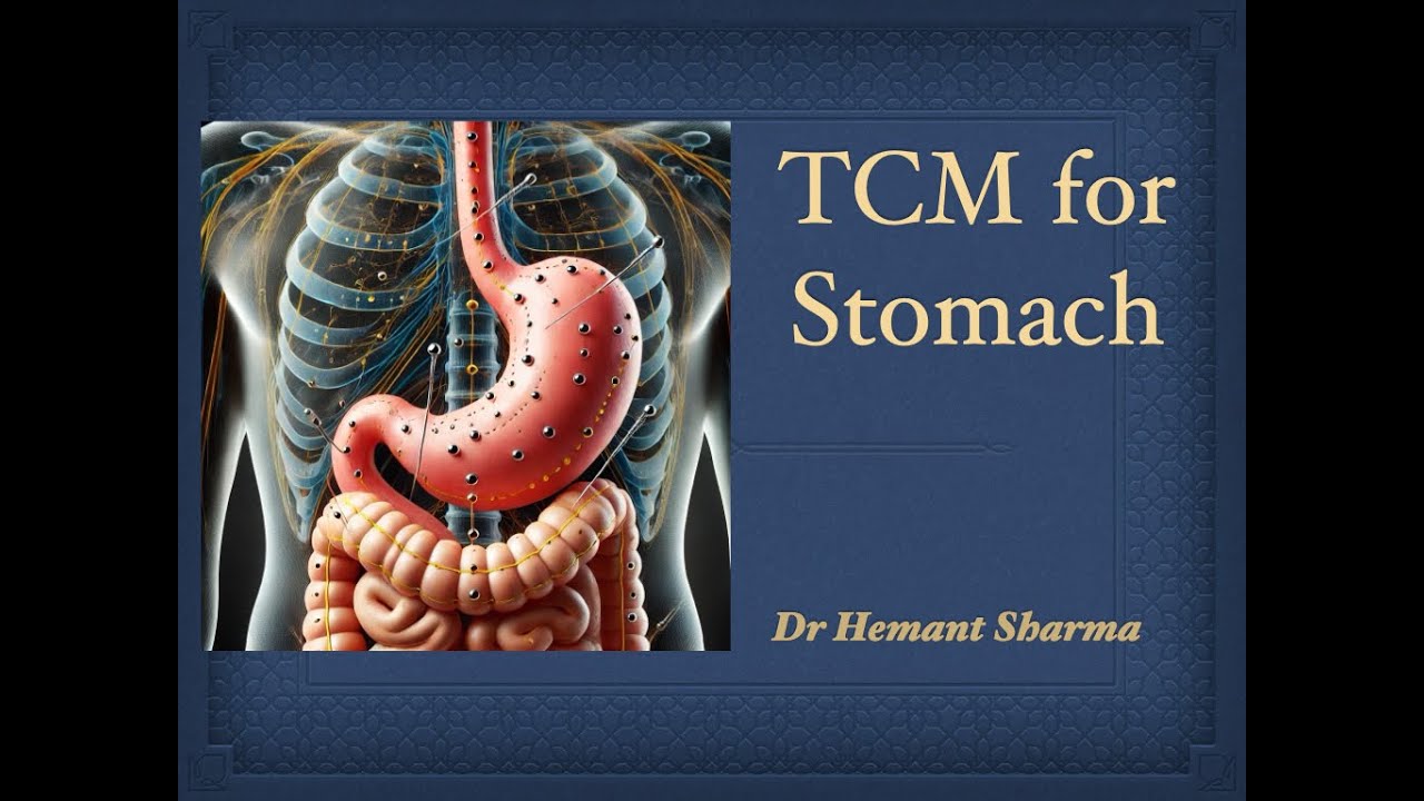 🔹 Laws of TCM for Stomach | Swollen Gums, Gastric Ulcer, Vomiting ...