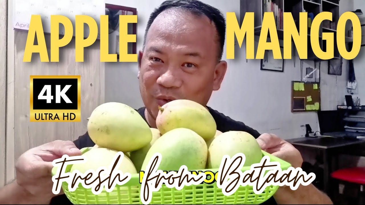 RIPE APPLE MANGO, Sweet and Delicious | Mango Farming - YouTube