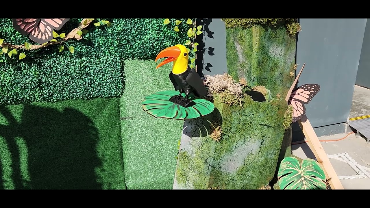 Tookie bird (Toucan) - VBS 2024 Verse - YouTube