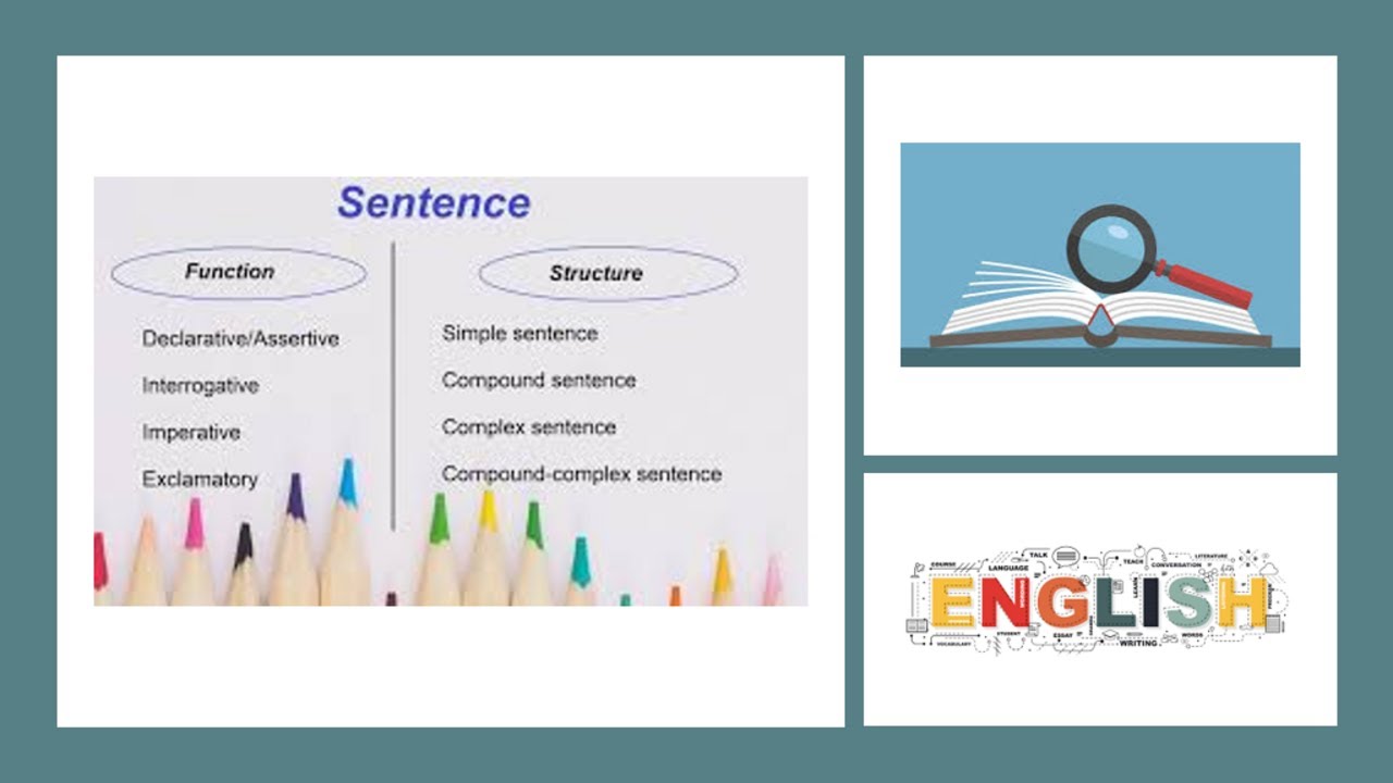 Word|Sentence|types of sentence|structual sentences|functional ...