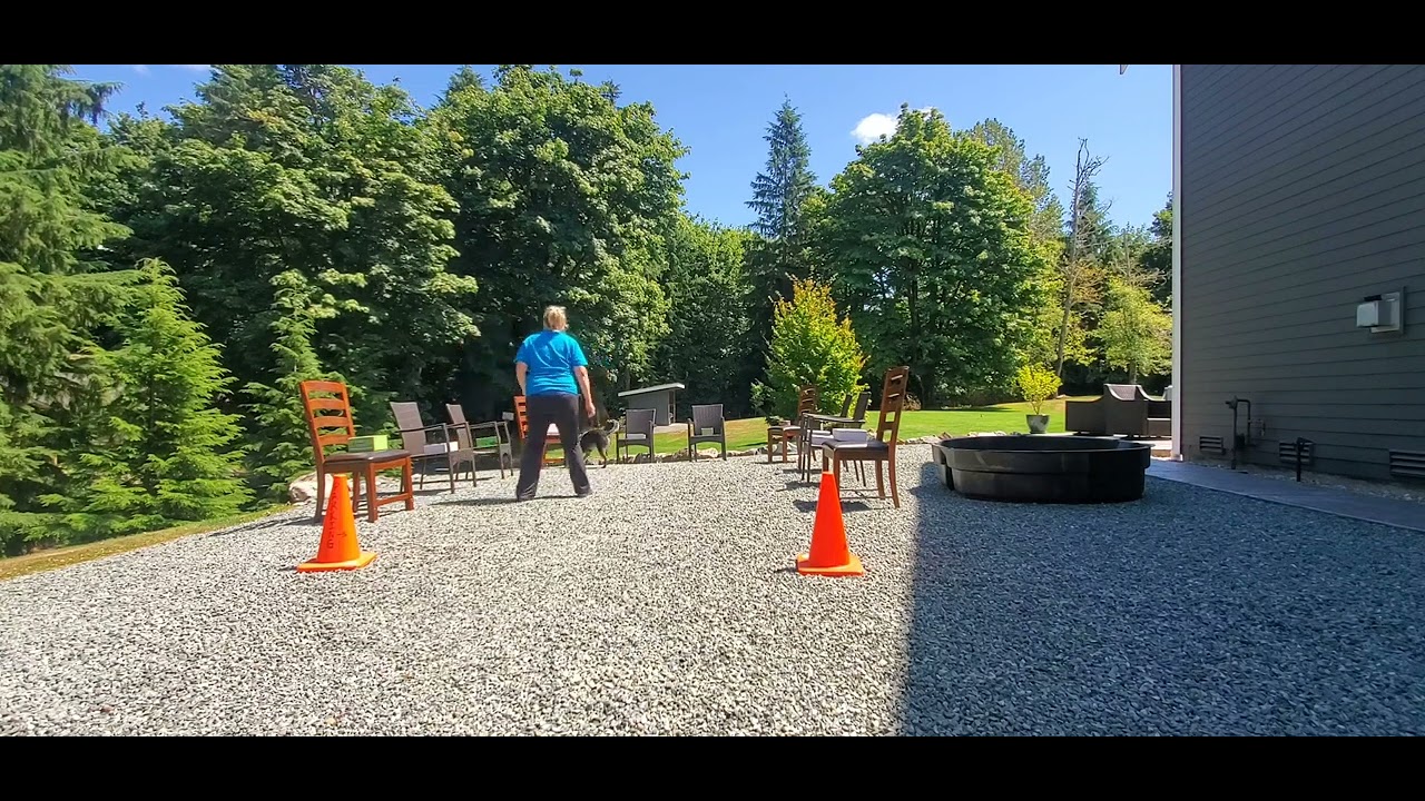 NACSW elevated containers 2 - YouTube