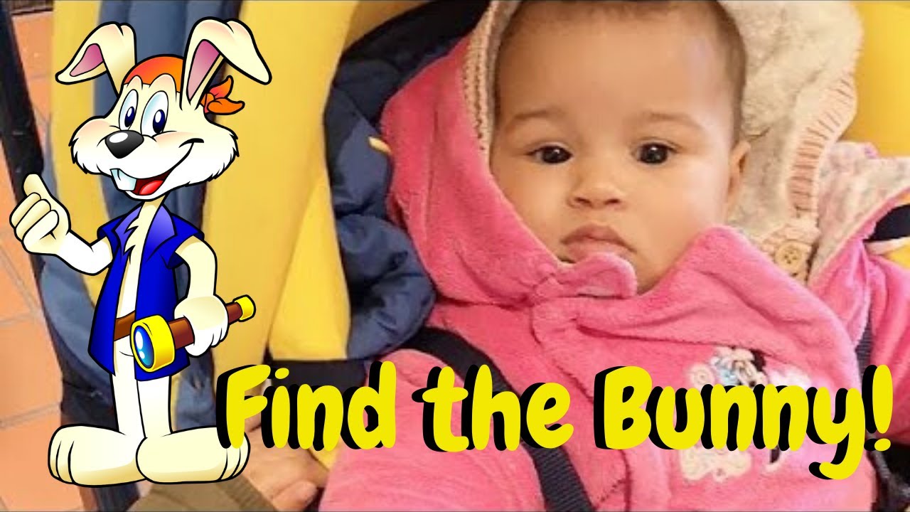 Cute funny baby bunny rabbit in back garden Aberdeenshire - YouTube