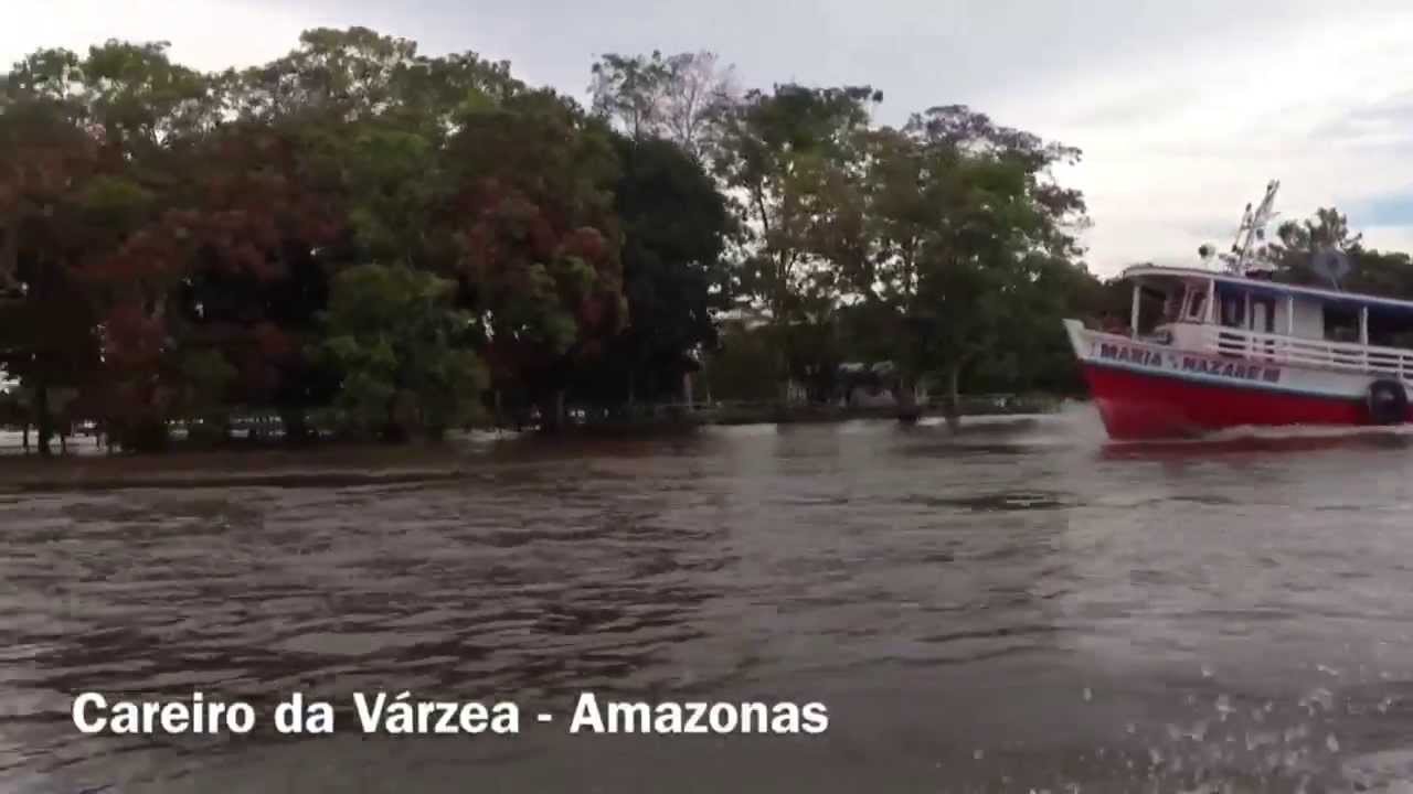 Careiro da Várzea - Amazonas - YouTube