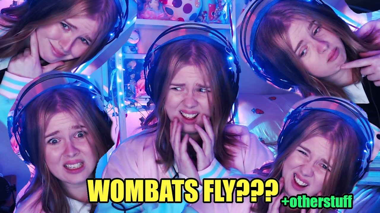 WOMBATS FLY WTF (also update) - YouTube