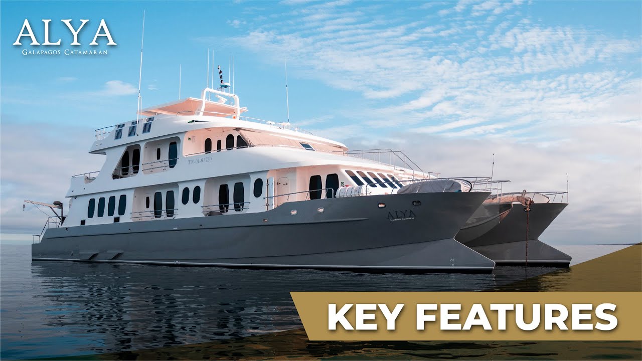 ALYA Key Features - YouTube
