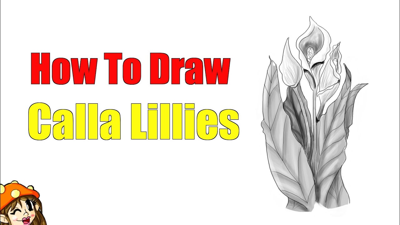 How to Draw A Calla Lilly, Tutorial! - Painting With Parasolia - YouTube