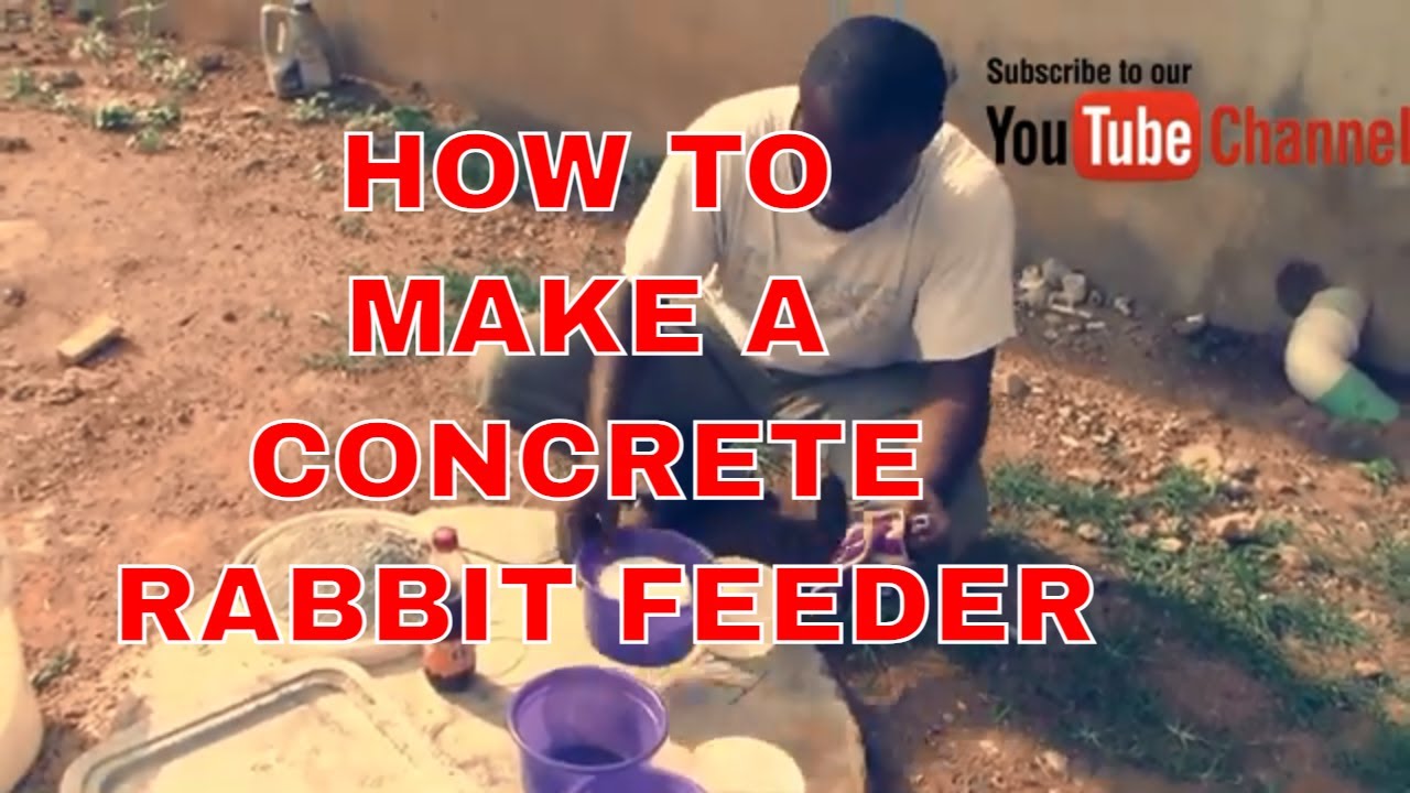 How To Make Concrete Rabbit Feeder - YouTube