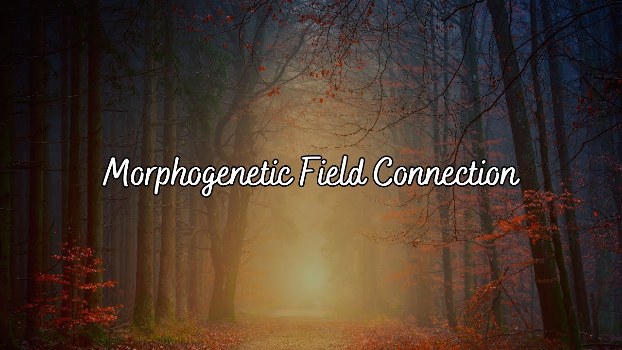 Morphogenetic Field Connection - Subliminal Audio - YouTube