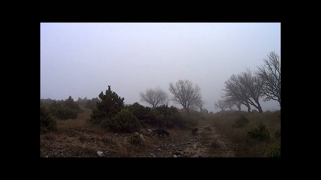 ΚΥΝΗΓΙ ΛΑΓΟΥ DABI 05 11 2014 ΜΟΝΟ ΓΙΑ ΒΙΝΤΕΟ ΕΙΜΑΣΤΕ Νο2 - YouTube
