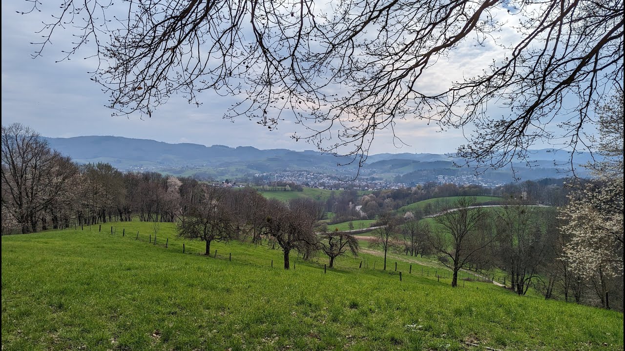 Mörlenbach M5: Bonsweiher-Wanderung in 4K - YouTube