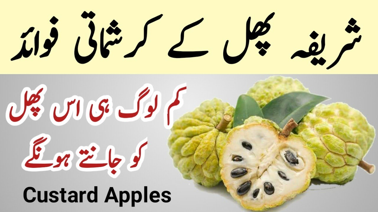 Amazing health benefits of Custard Apples//Custard Apple,Custard apple ...