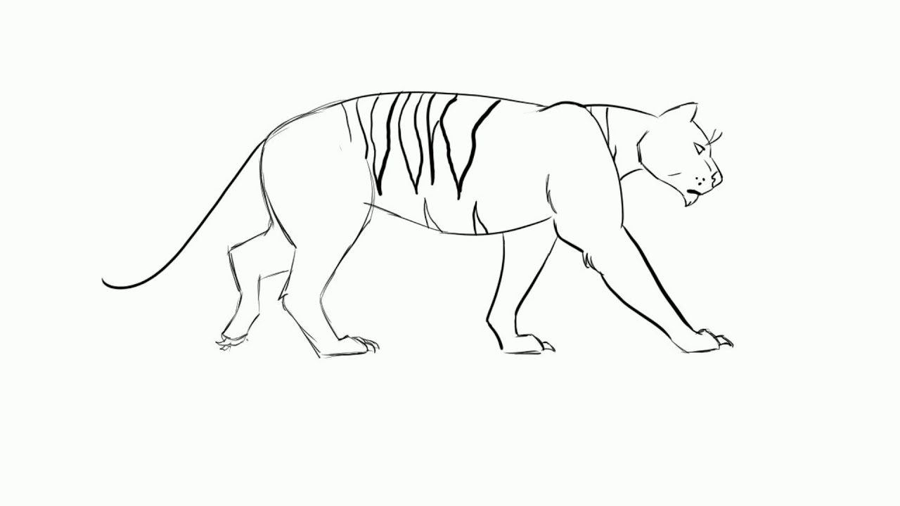 Tiger Walk Cycle animation WORK IN PROGRESS - YouTube