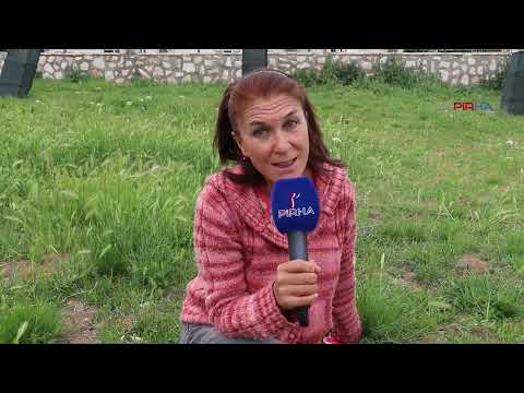 Tanal: Lokmalarımızı hayvanlarla paylaşalım!