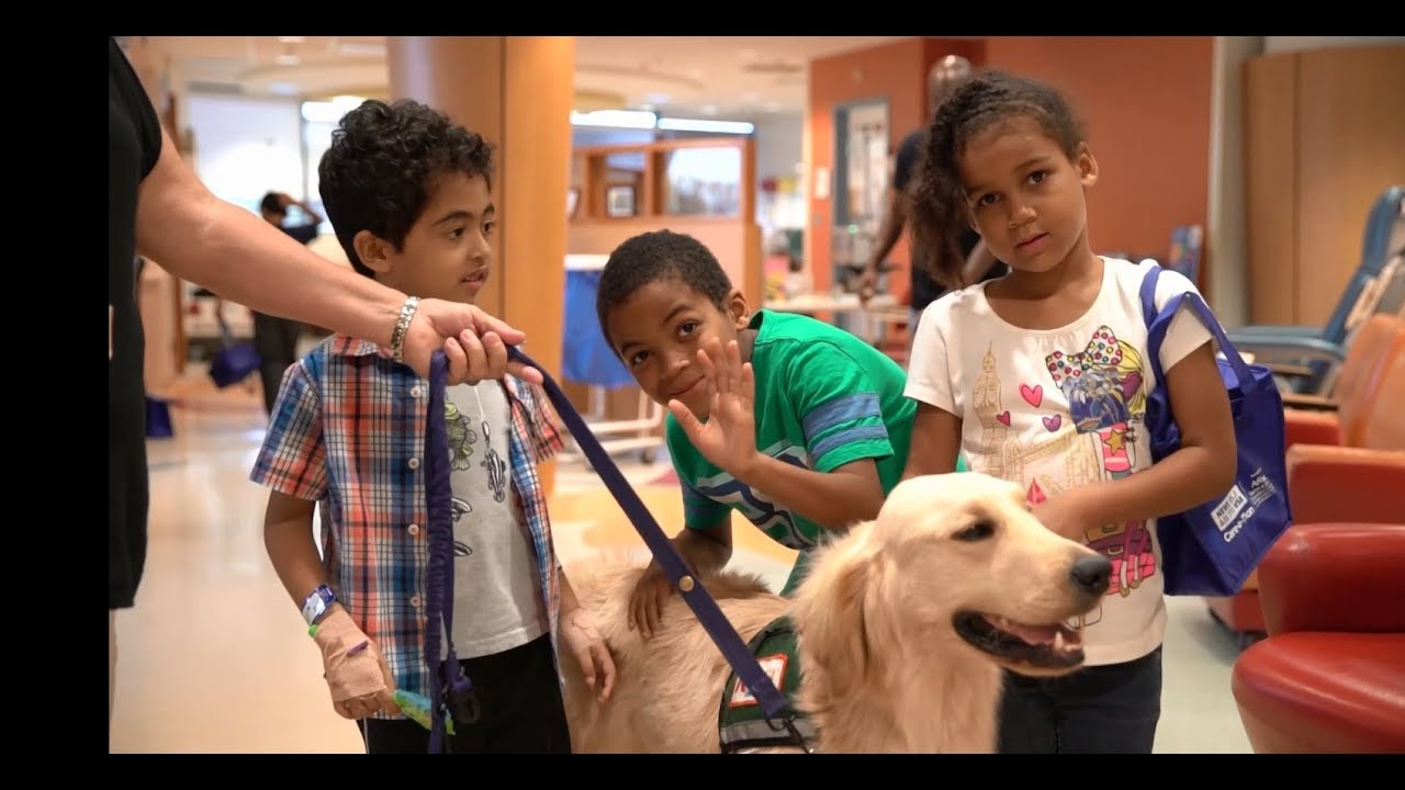 Scott Slade & Jimmy Ellis WSB Care-A-Thon - YouTube