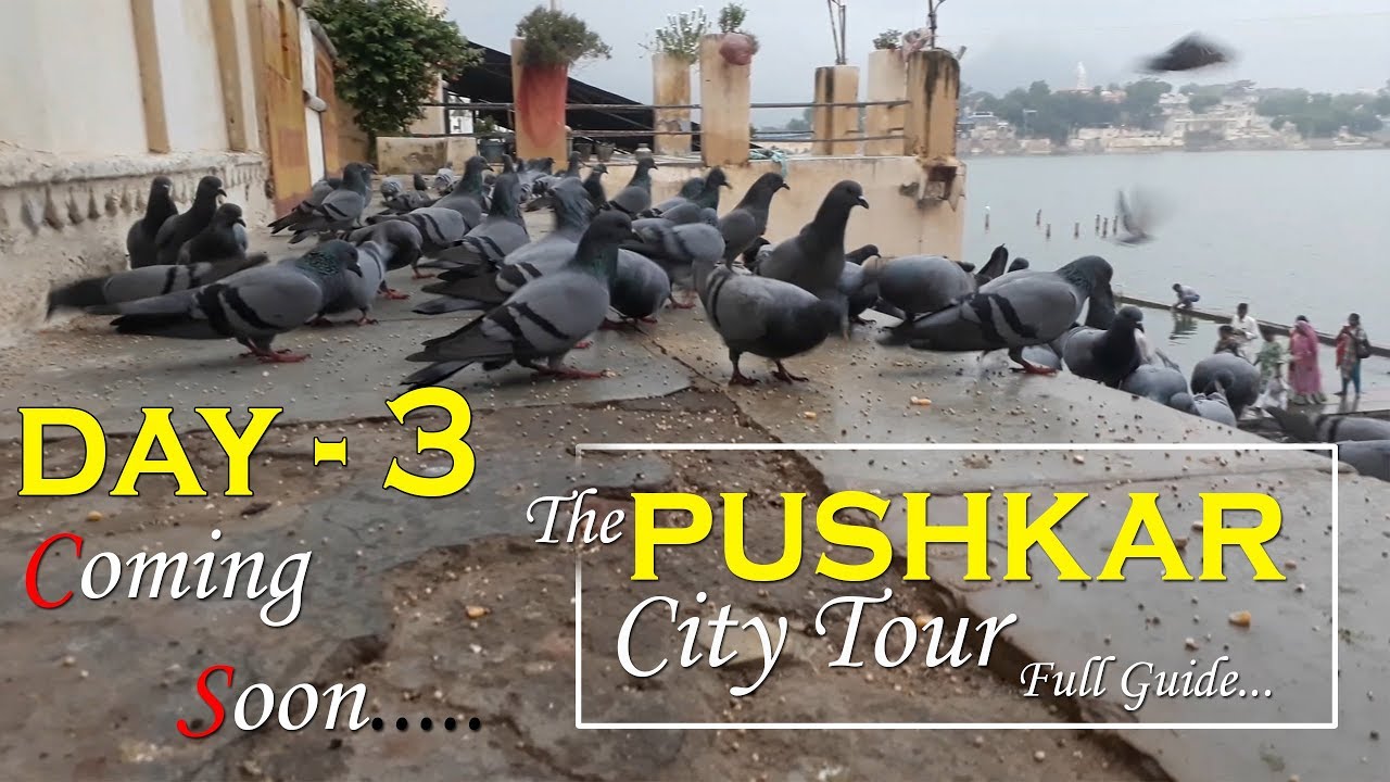 Pushkar Tour Day 3 Promo l Rajasthan Famous Tourist Places In Hindi l ...