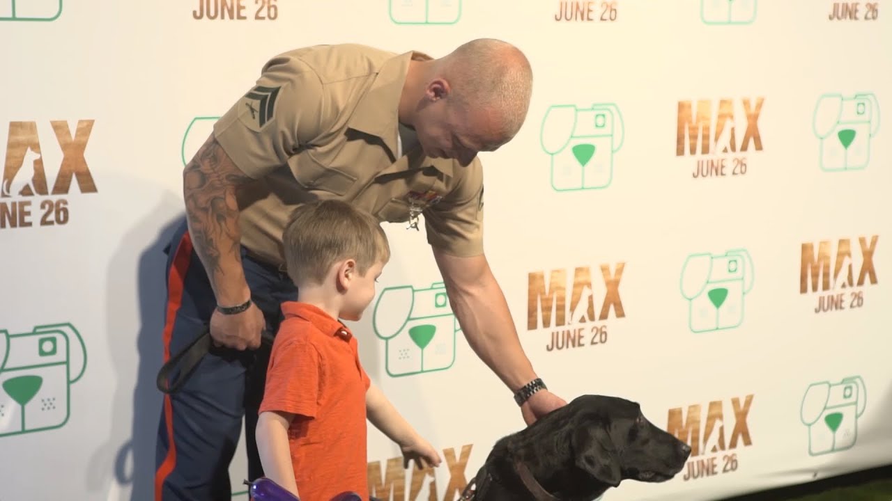 MAX x @DogsOfInstagram: Forever Young - YouTube