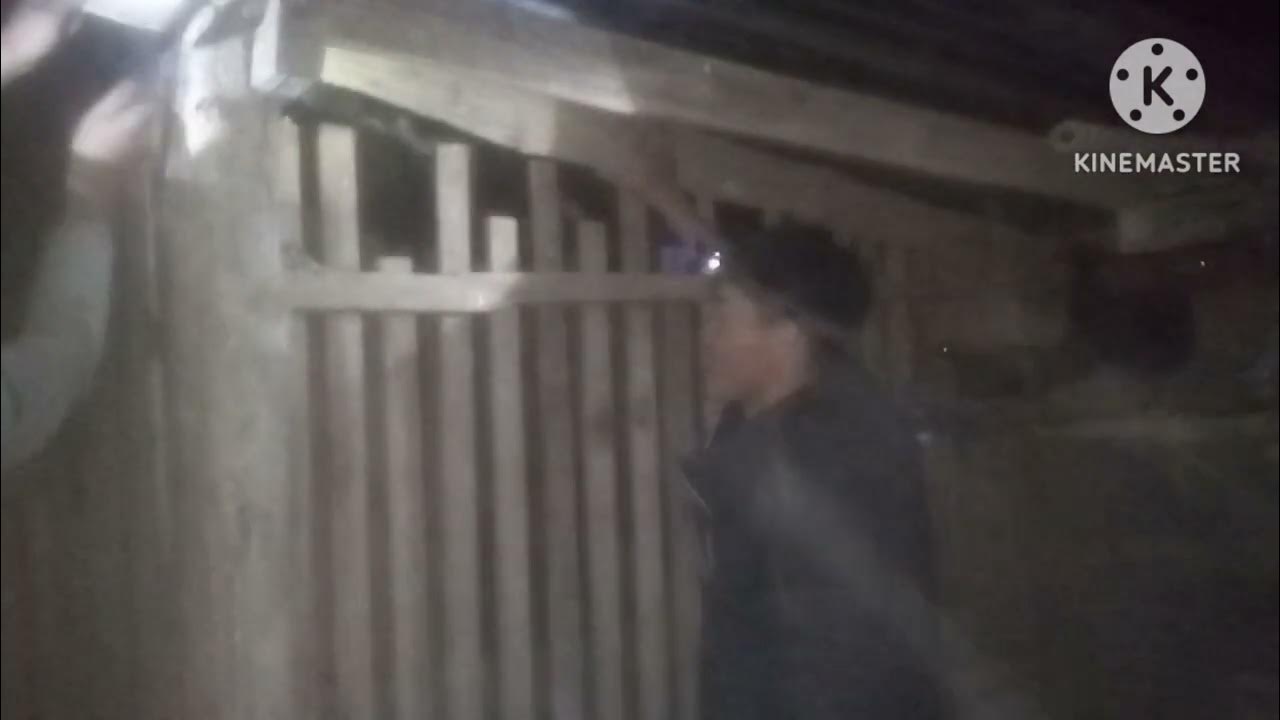 tab Tom TSO qaib dib qua zoo tsuam poj - YouTube