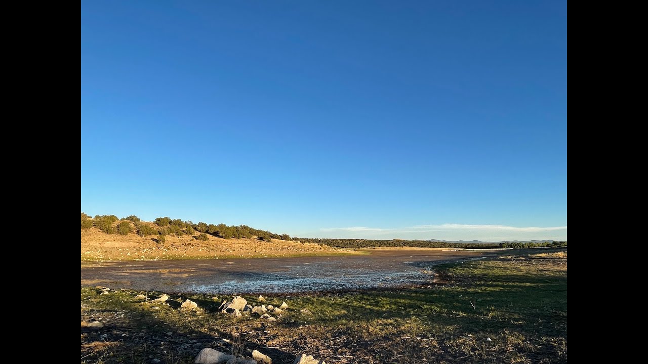 Reviving an Oasis—The Concho Spring Project - YouTube