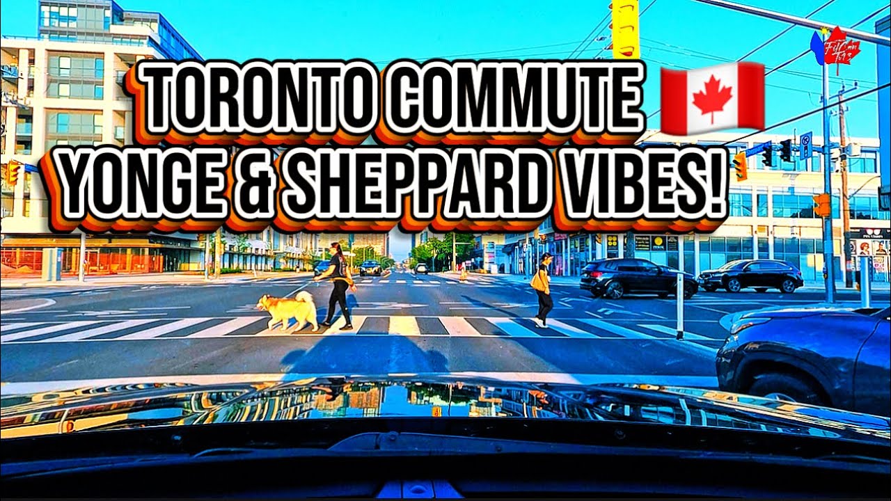 Driving to Work in Toronto | Scenic Route on Yonge & Sheppard 🚗🇨🇦 - YouTube