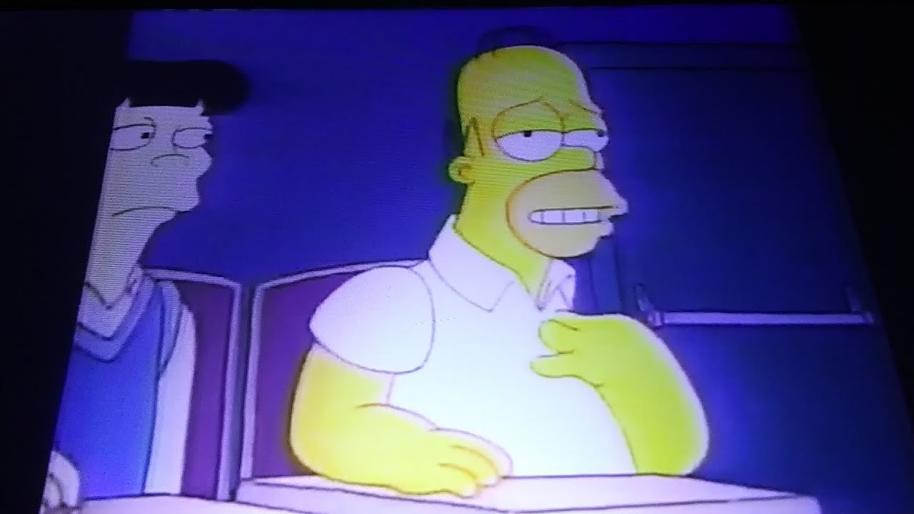 Sponge-Toon 2025: The Simpsons: Homer Goes to College Promo/Ed ...