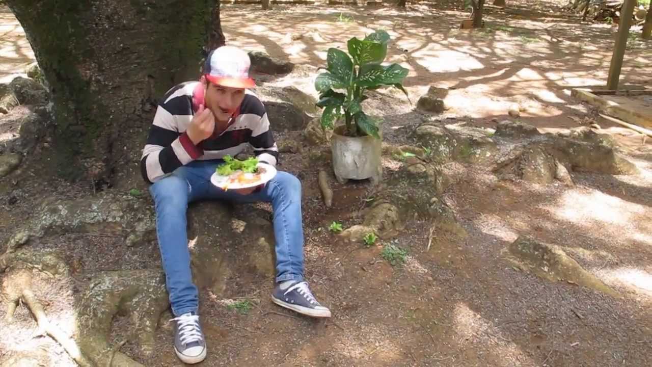 Horses for Orphans Brazil Project November 2013 - YouTube